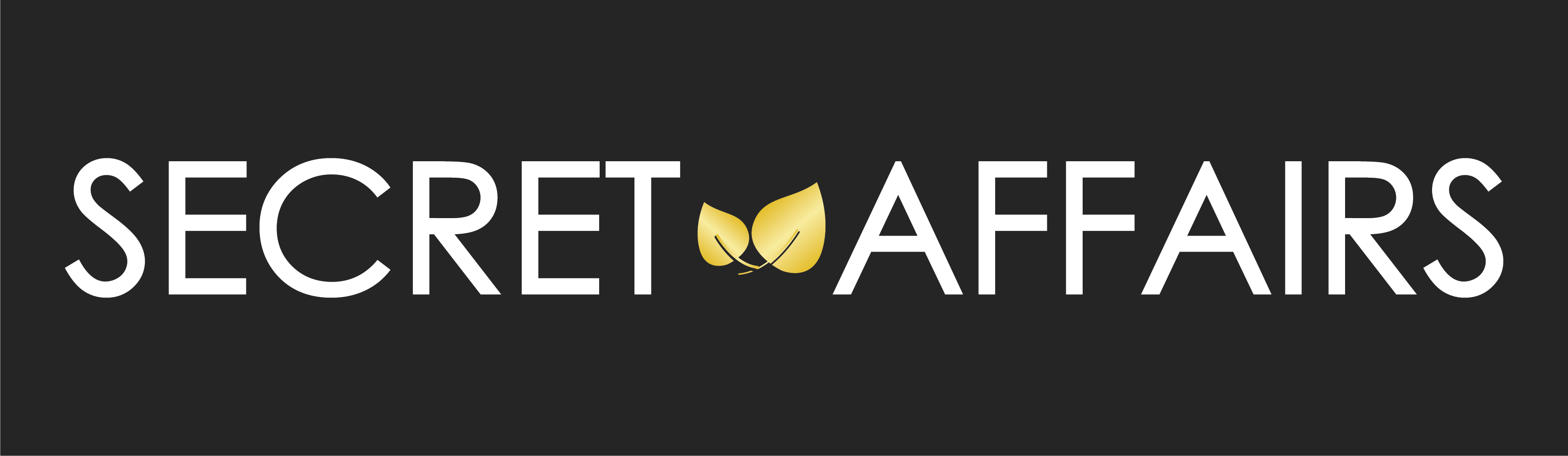 Secret Affairs Review February 2026: Worth the shot? - DatingScout